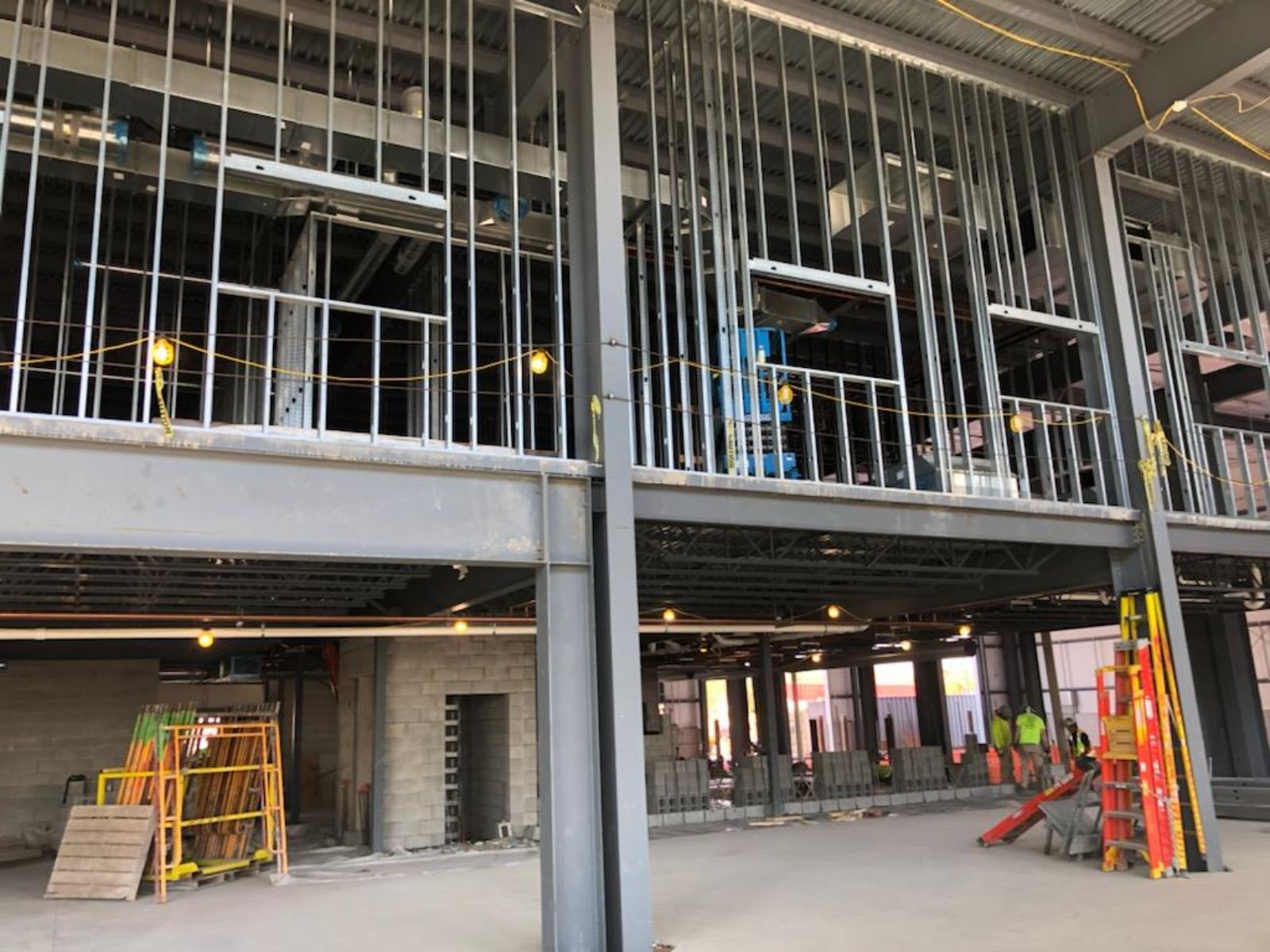 Milton Cat - Portfolio Details